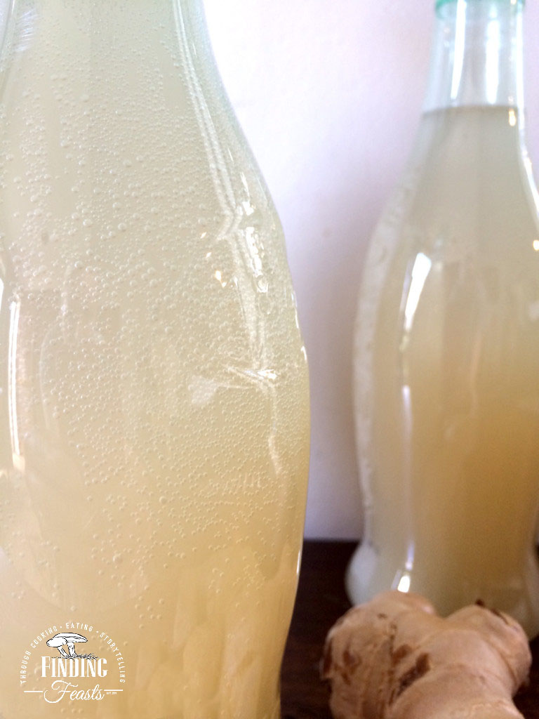 How To Make A Ginger Bug for Ginger Beer
